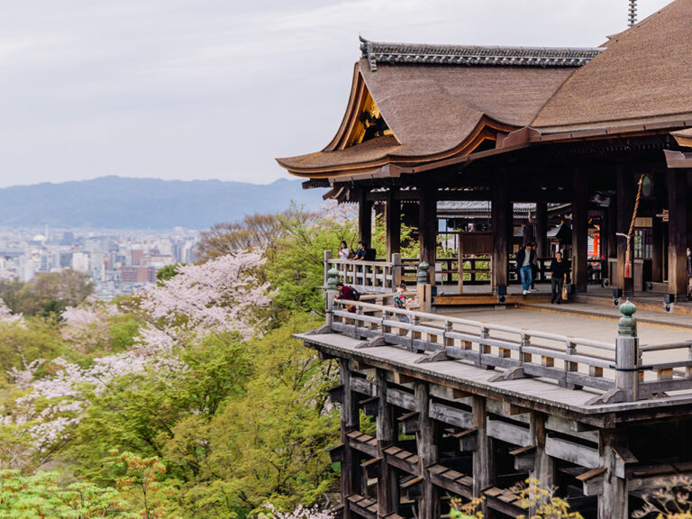 Kyoto's Best Cherry Blossom Spots & Bloom Forecast! A Complete Guide to ...