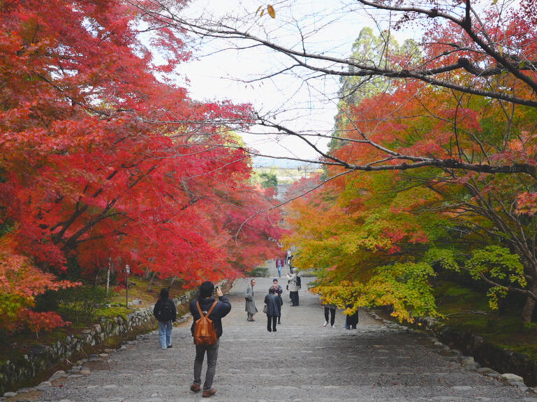 Highlights of Nison-in Temple A famous spot for viewing autumn leaves ...