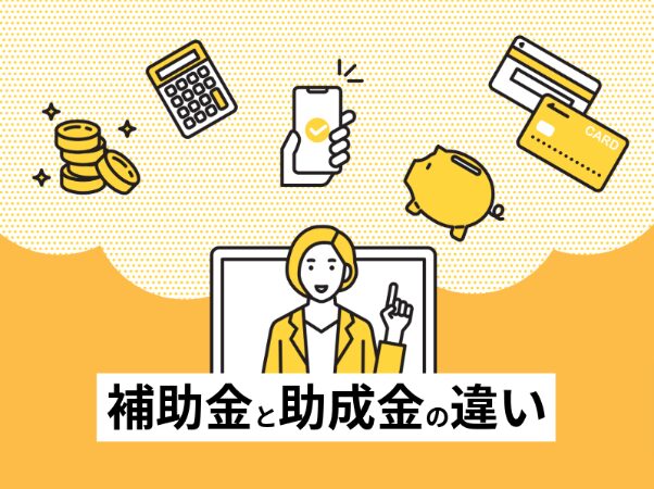 What are the similarities and differences between subsidies and grants ...